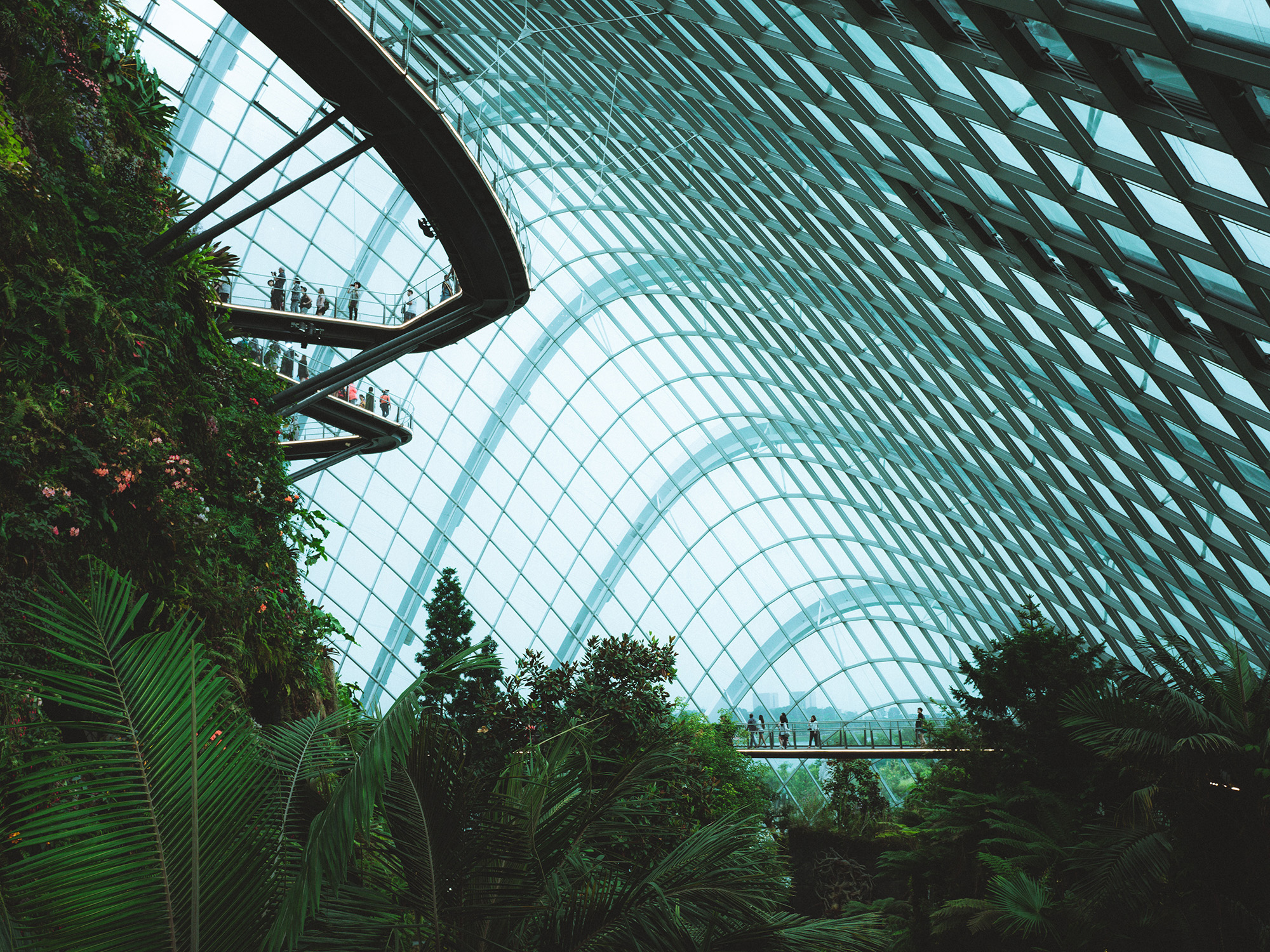 Climate and Advanced Energy - Atlantic Council