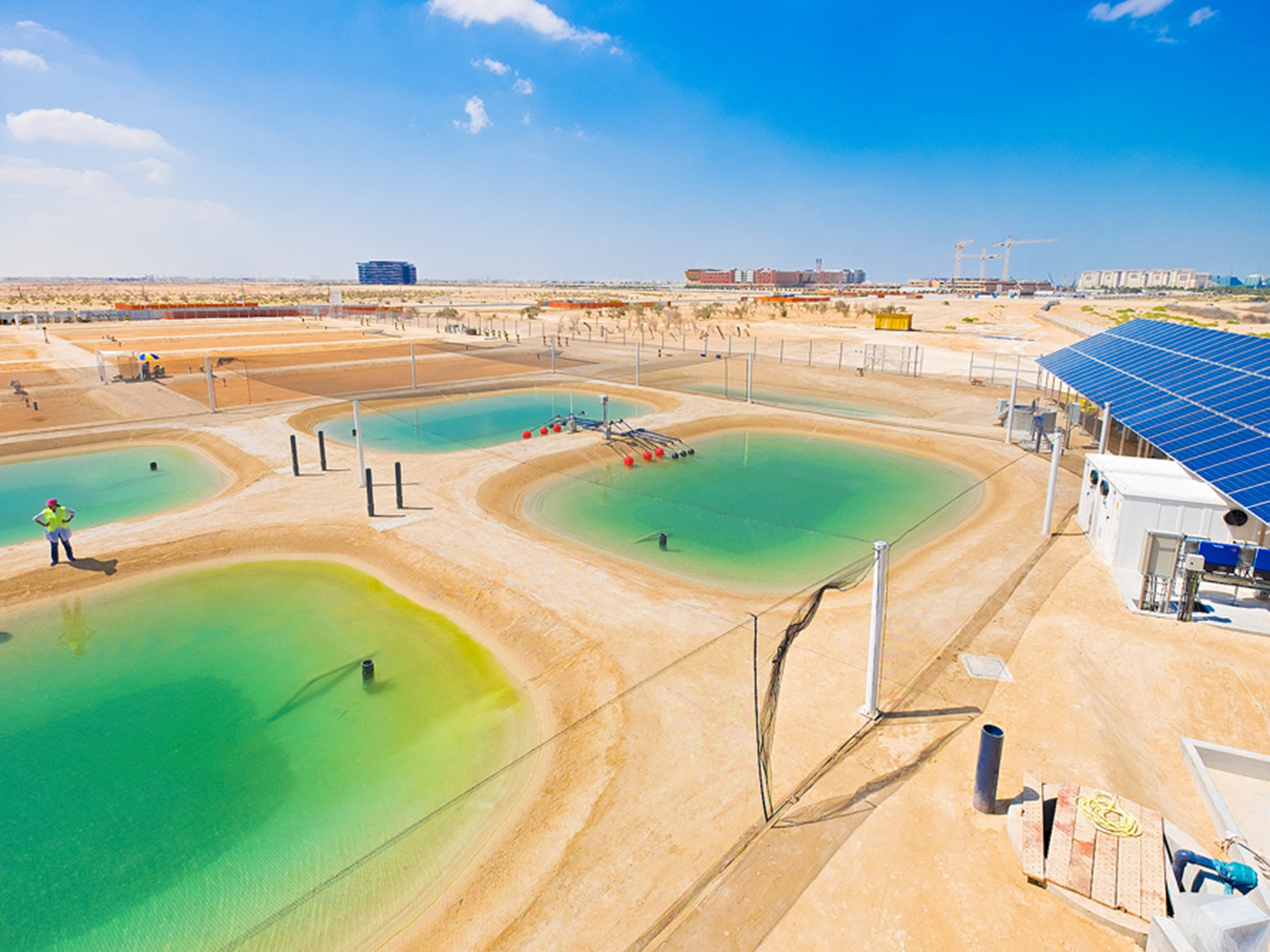 Ready for takeoff? Aviation biofuels past, present, and future ...