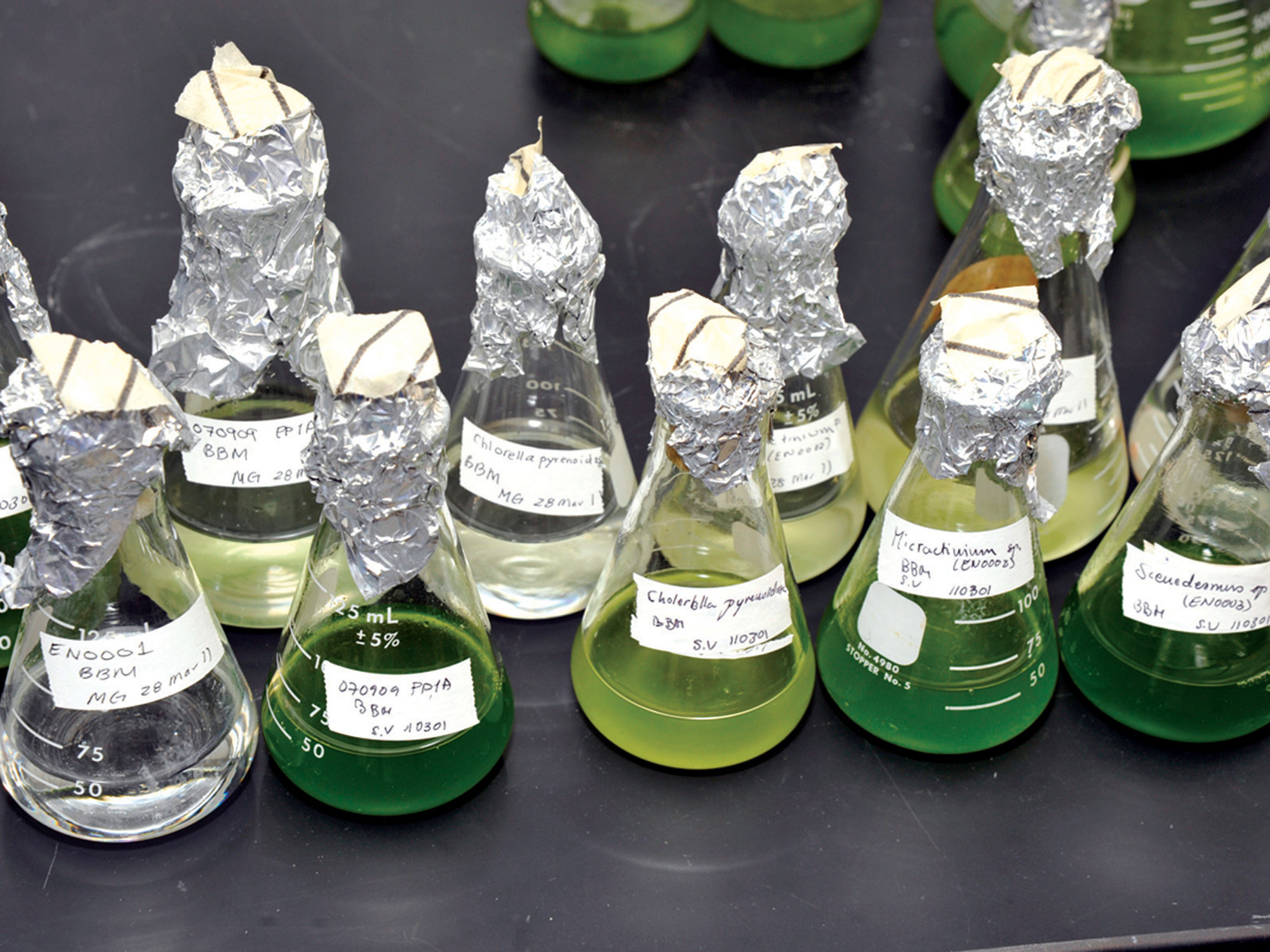 Ready for takeoff? Aviation biofuels past, present, and future ...