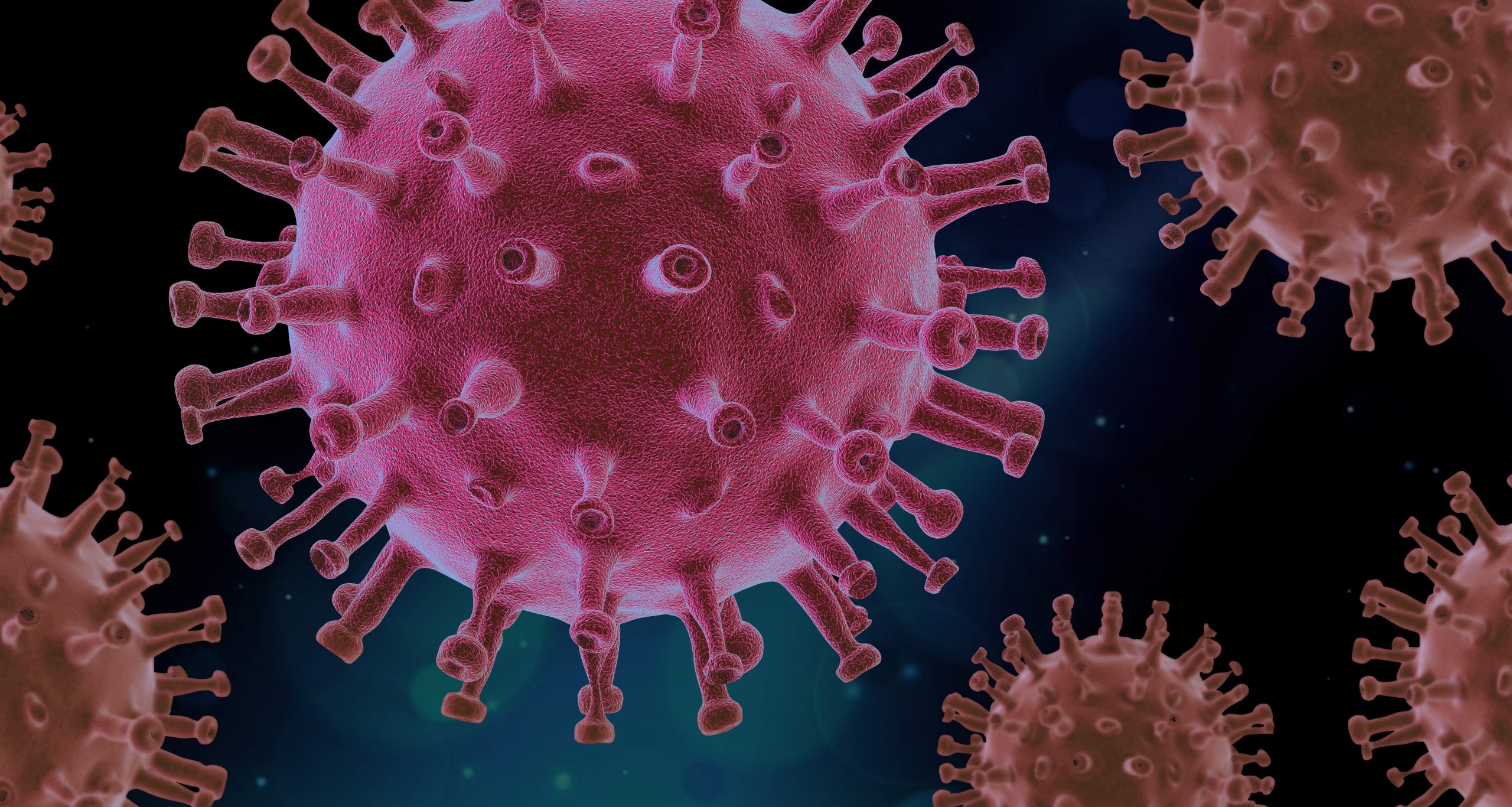 The 5×5—On viral infections online and in the real world - Atlantic Council