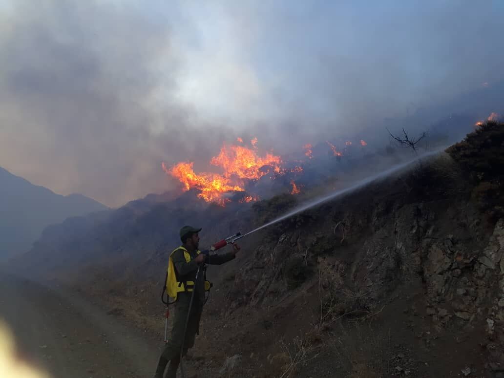 The forest fires in Iran that won’t stop burning - Atlantic Council