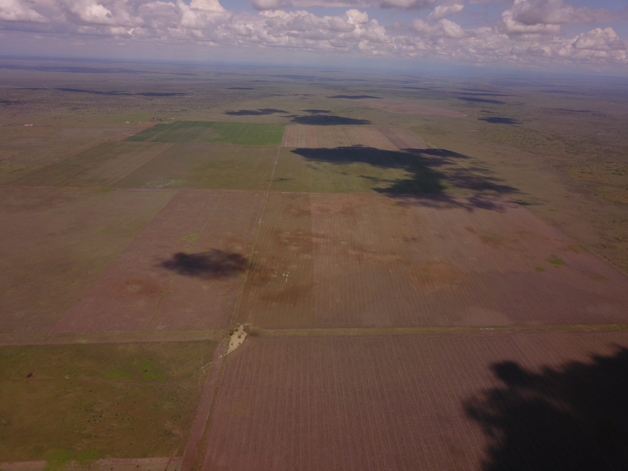 Kijani-AI - Atlantic Council