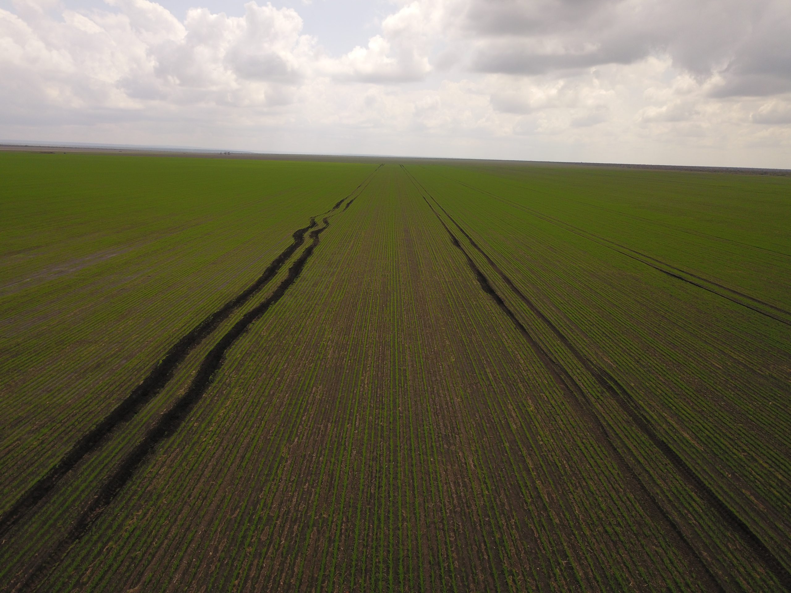 GeoTech - Kijani-AI - Atlantic Council, global food system