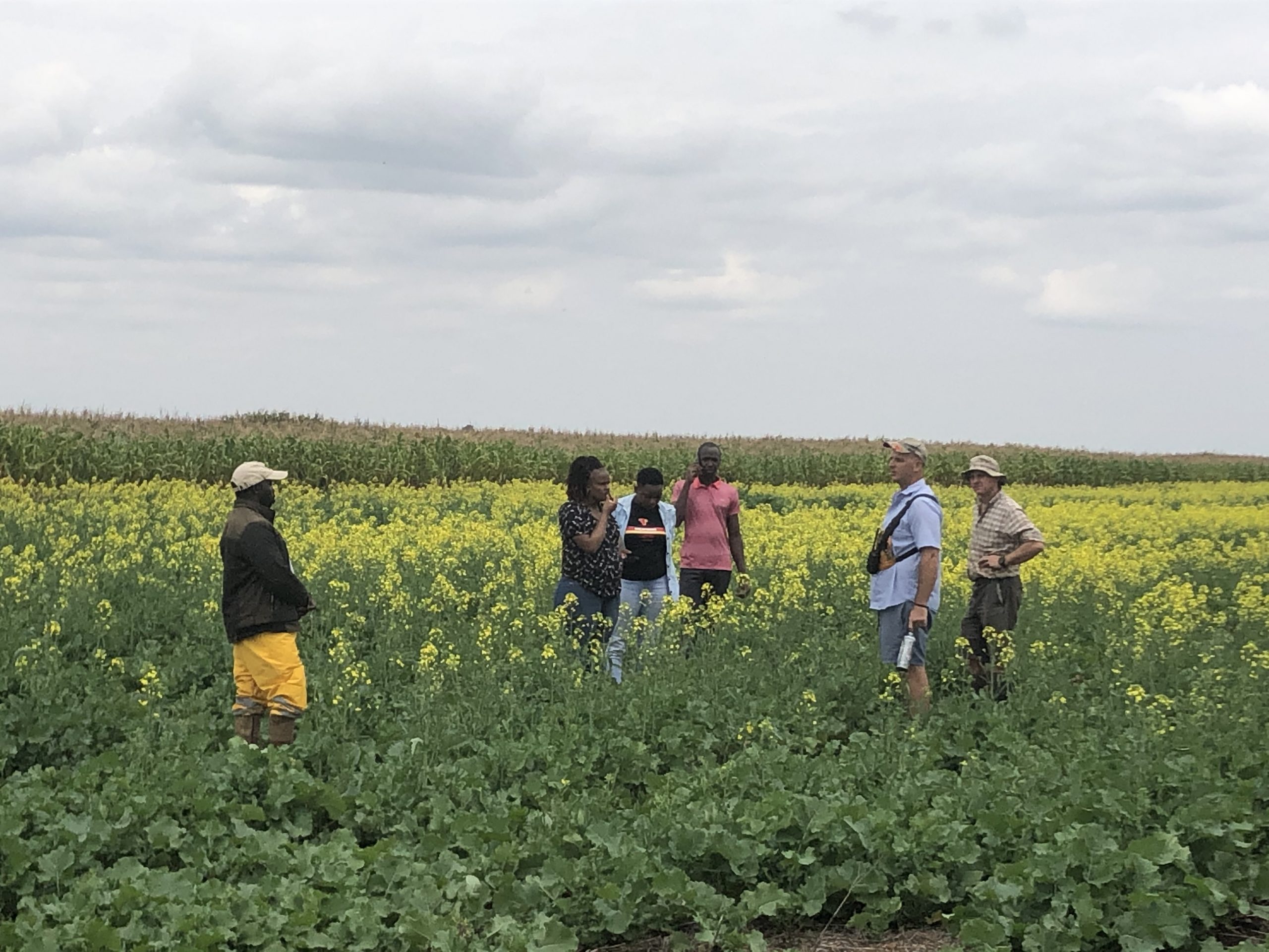 Kijani-AI - Atlantic Council