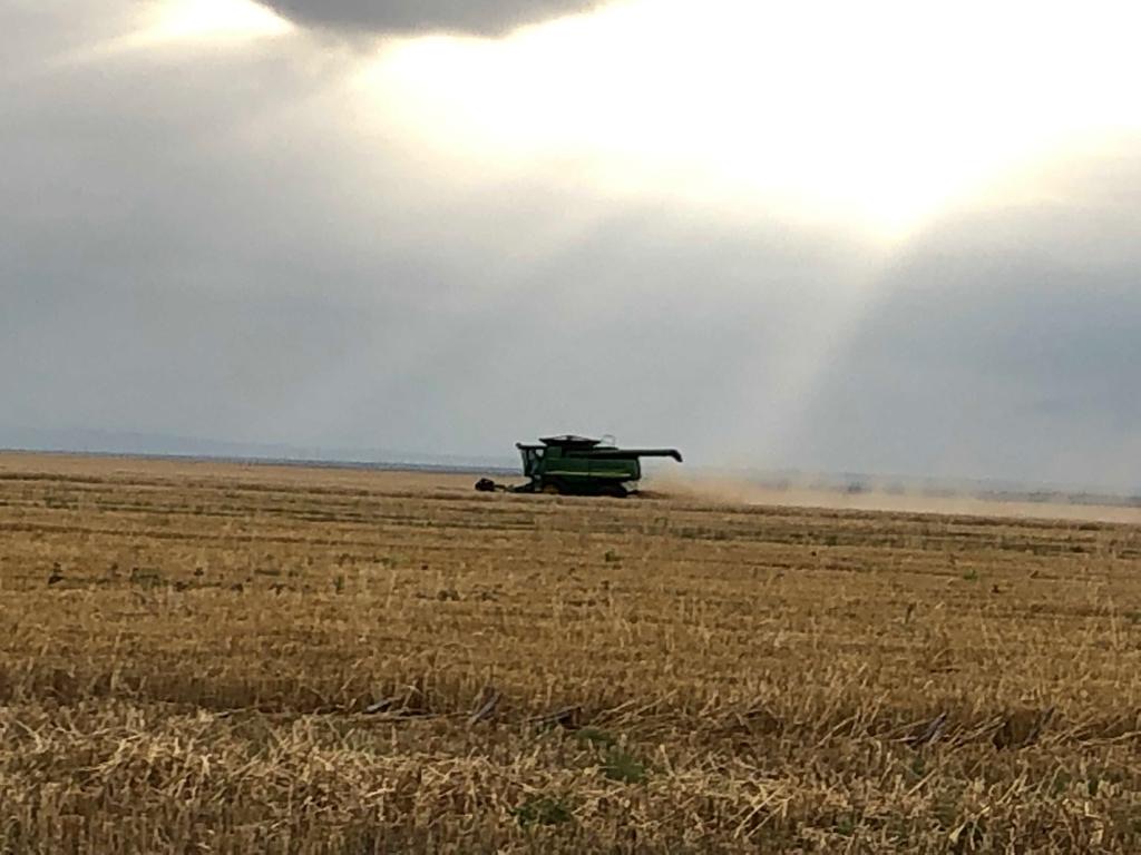 GeoTech - Kijani-AI - Atlantic Council, global food system