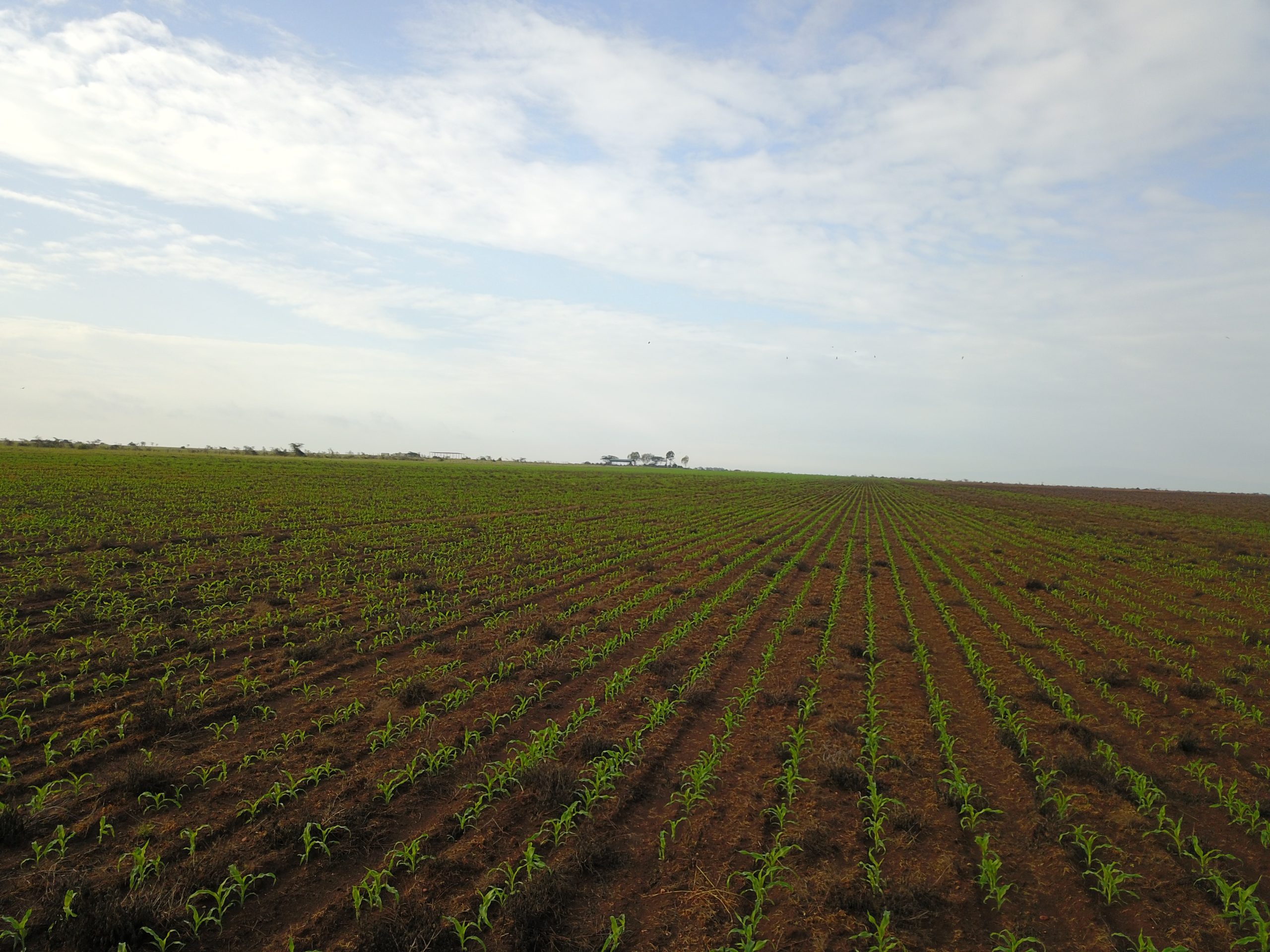 GeoTech - Kijani-AI - Atlantic Council, global food system