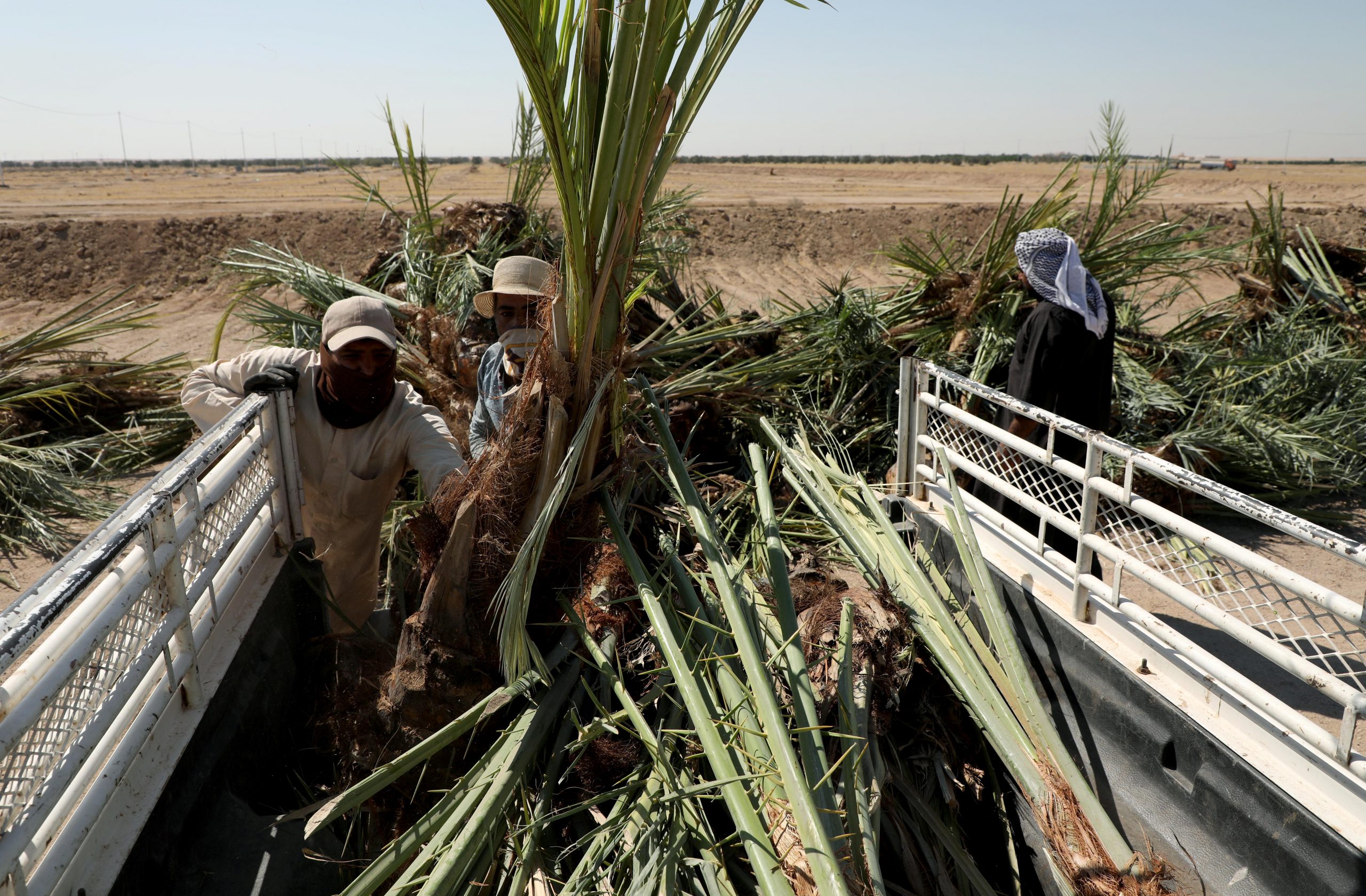How the agri-food sector can turn Iraq’s economy around - Atlantic Council