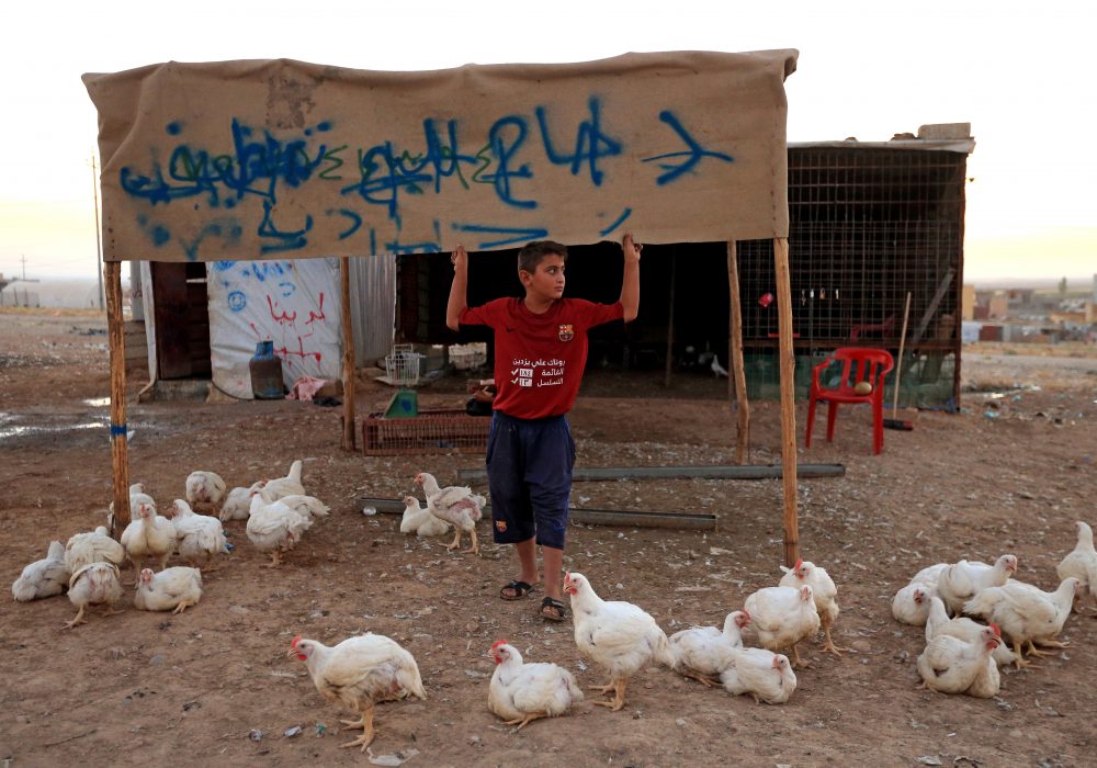 Hanar Marouf - Atlantic Council