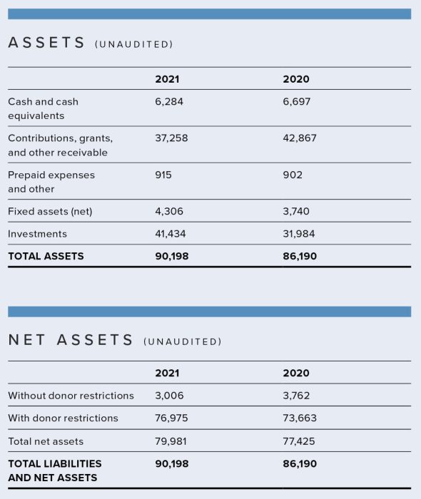 V. Annual Report 2021/2022: Financial summary - Atlantic Council