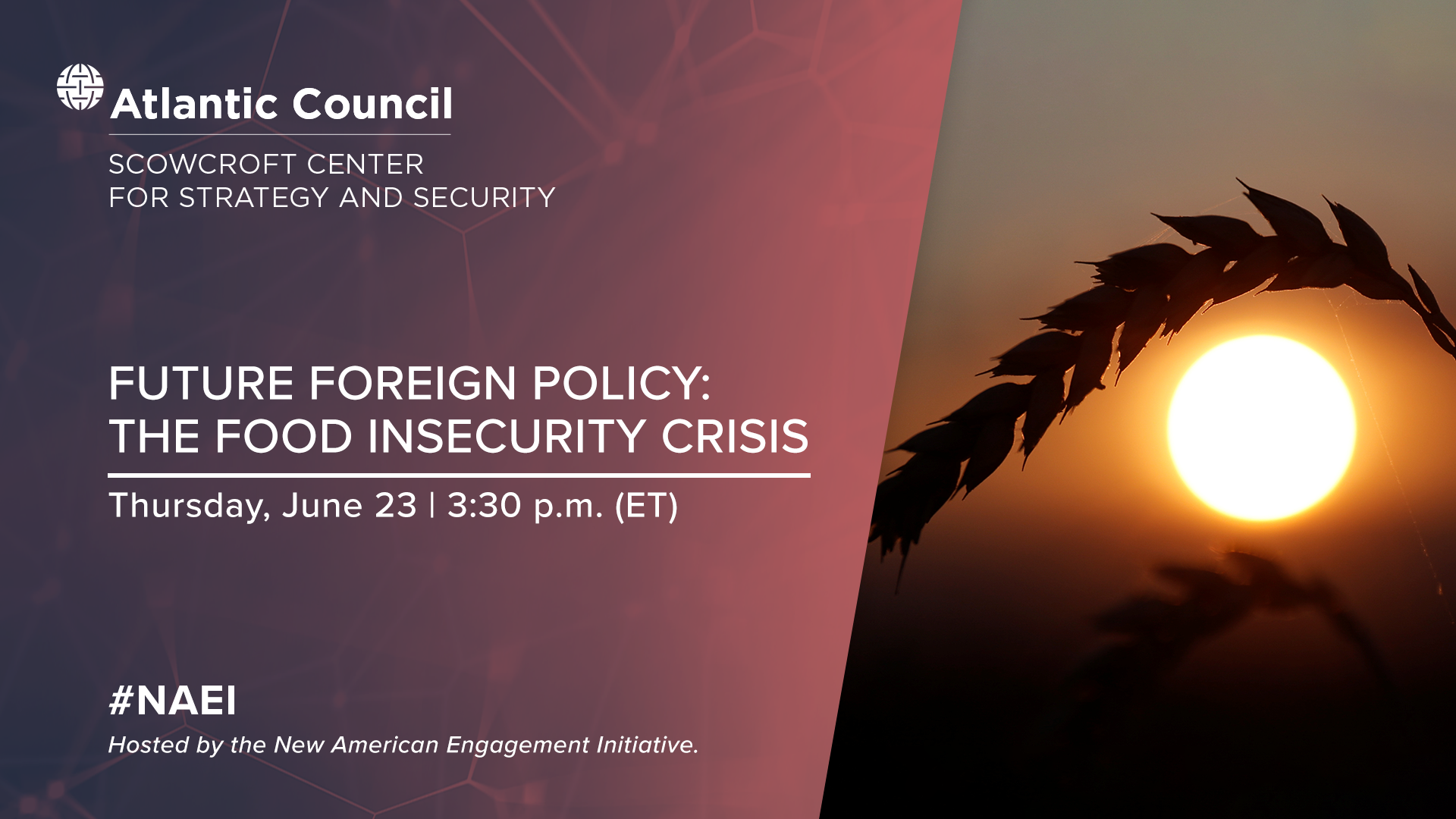 Future Foreign Policy: The food insecurity crisis - Atlantic Council