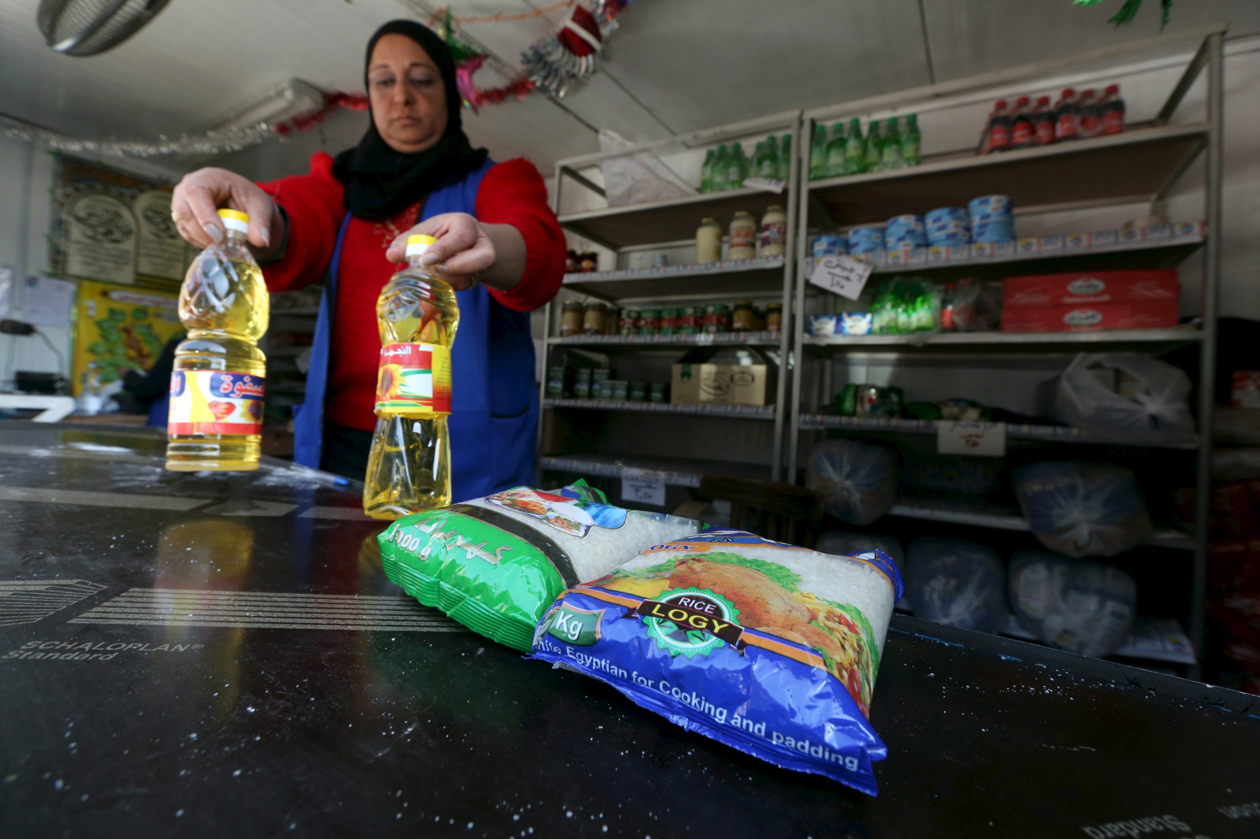 Climate vulnerability and food insecurity in MENA should be priorities ...