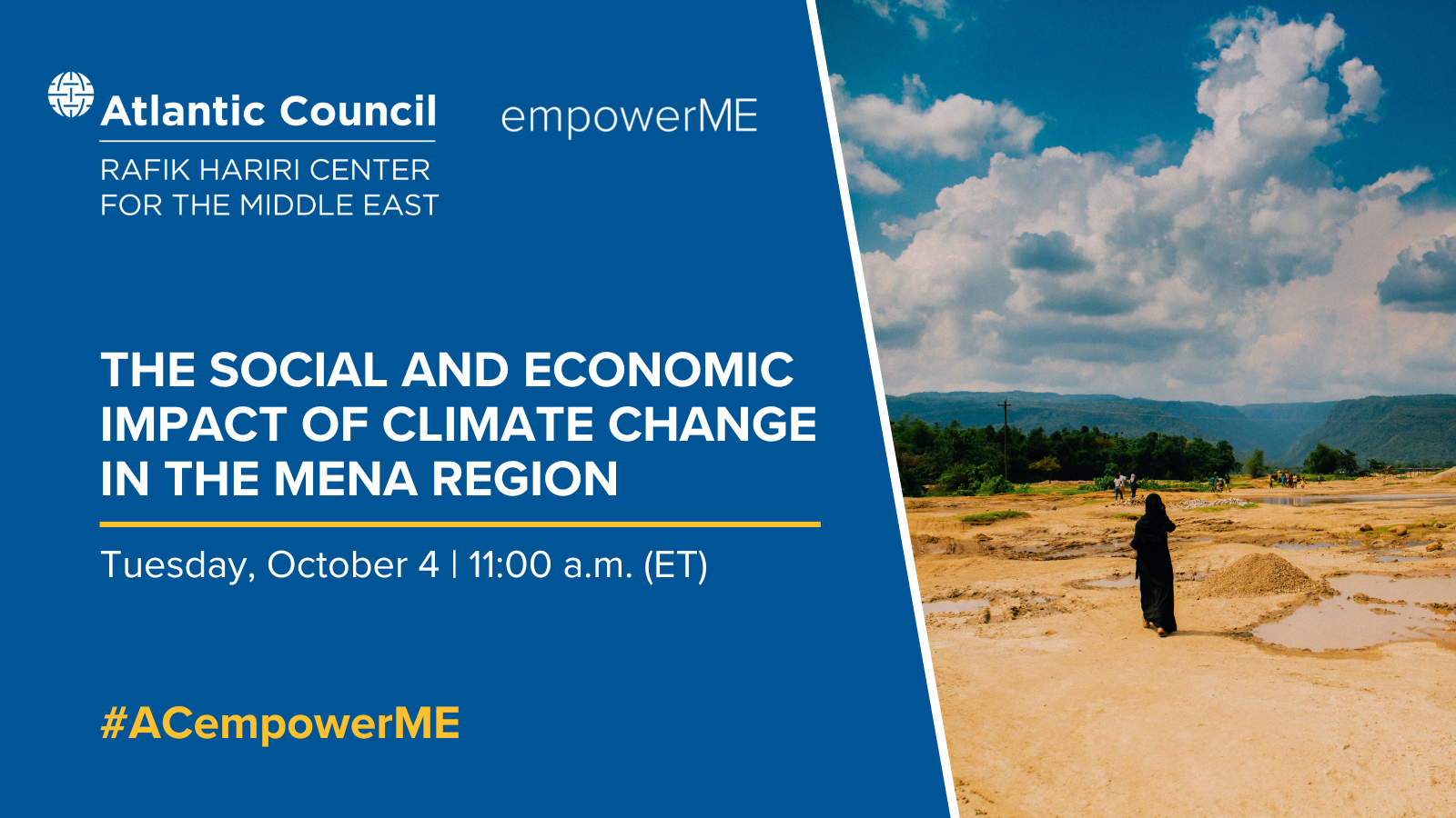 The economic and social impact of climate change in the MENA region ...