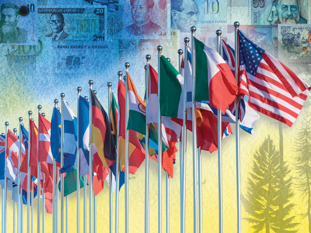 The evolution of the IMF: A case for IMF 1.5 before Bretton Woods 2.0 ...