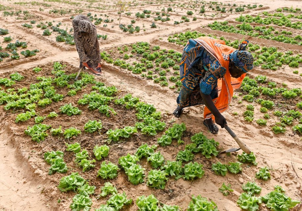 AfricaSource - Atlantic Council