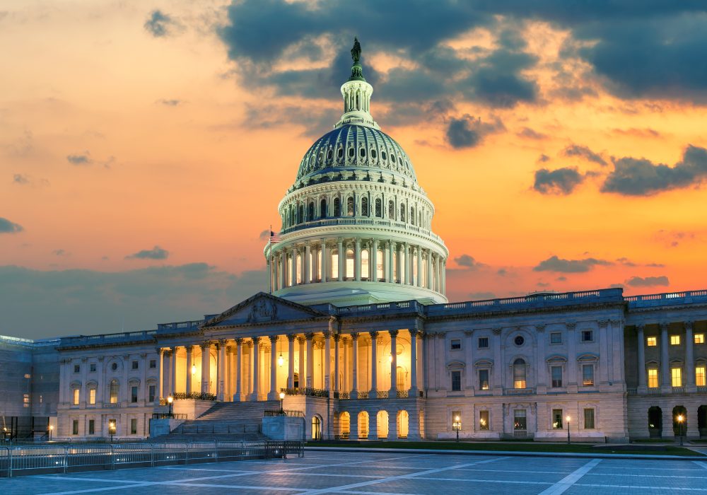 Sarah Bauerle Danzman - Atlantic Council