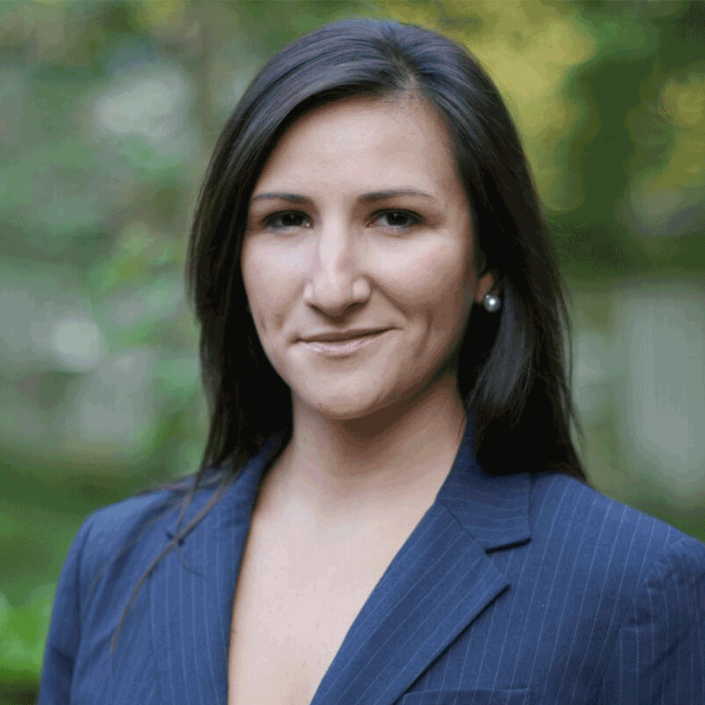 Report launch: Scaling trust on the web - Atlantic Council