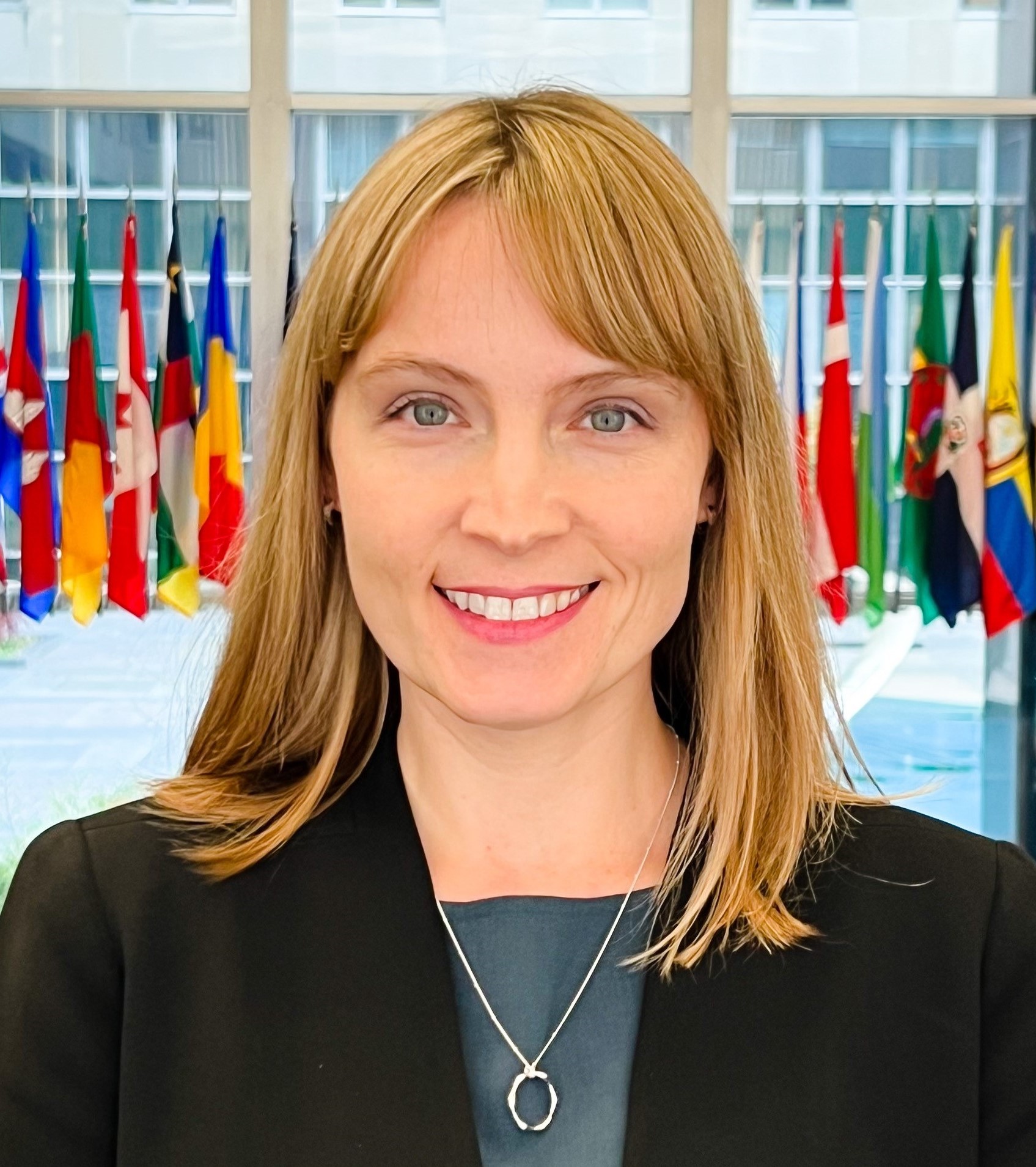 Investigating China's economic coercion: The reach and role of Chinese ...