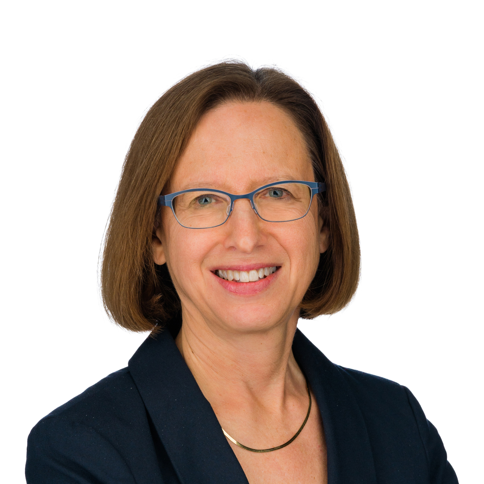 A strategic posture for a new era: Introducing the Congressional ...