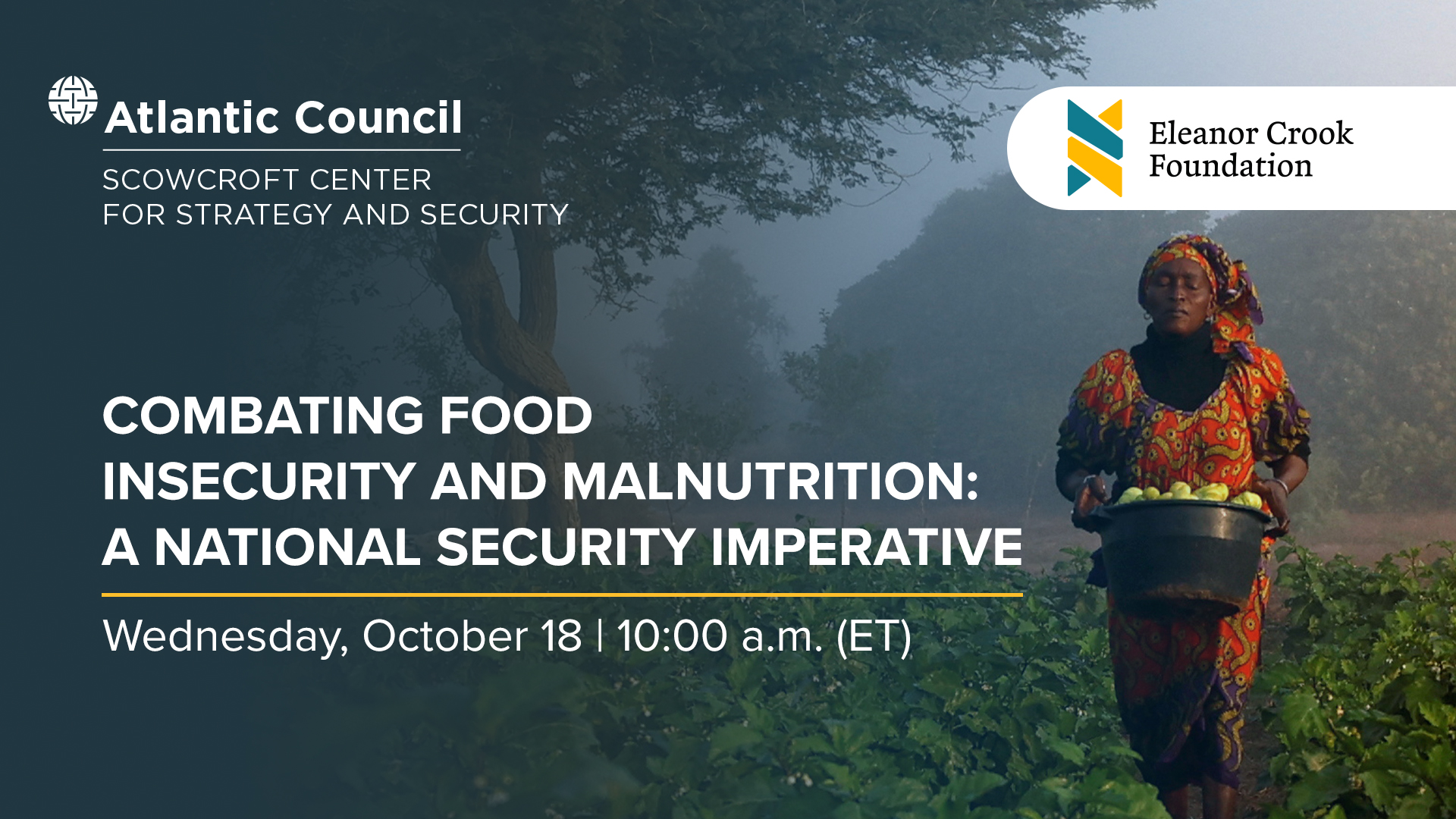 Combating food insecurity and malnutrition: A national security ...