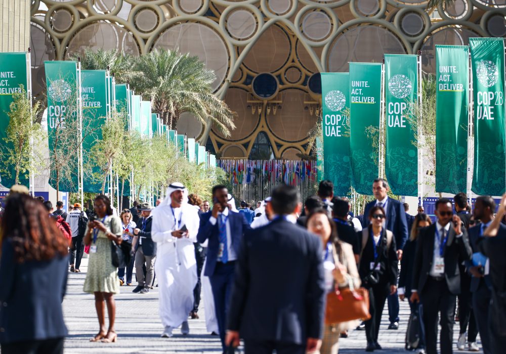 Expert analysis: The successes and shortcomings in the fight against ...