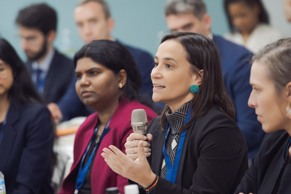 European Leadership Accelerator - Atlantic Council