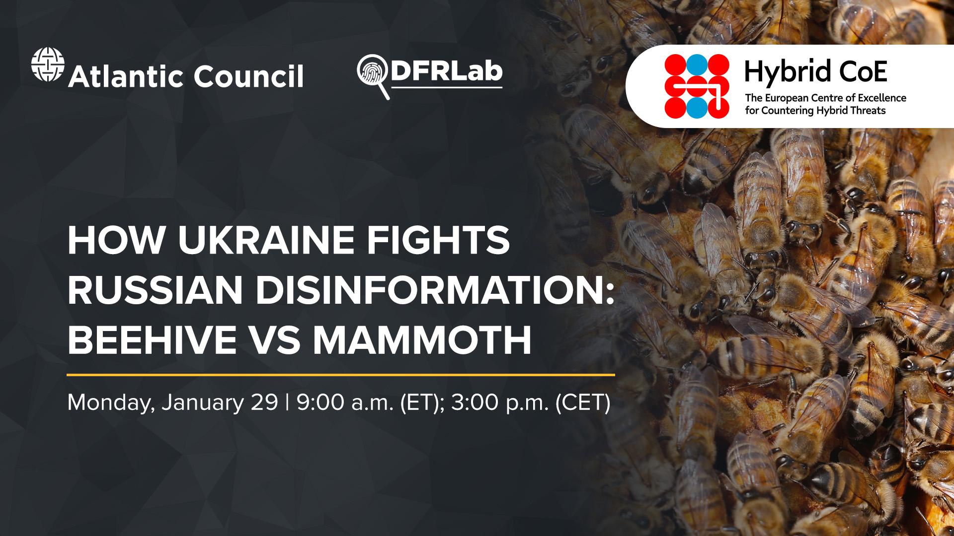 How Ukraine fights Russian disinformation: Beehive vs mammoth ...