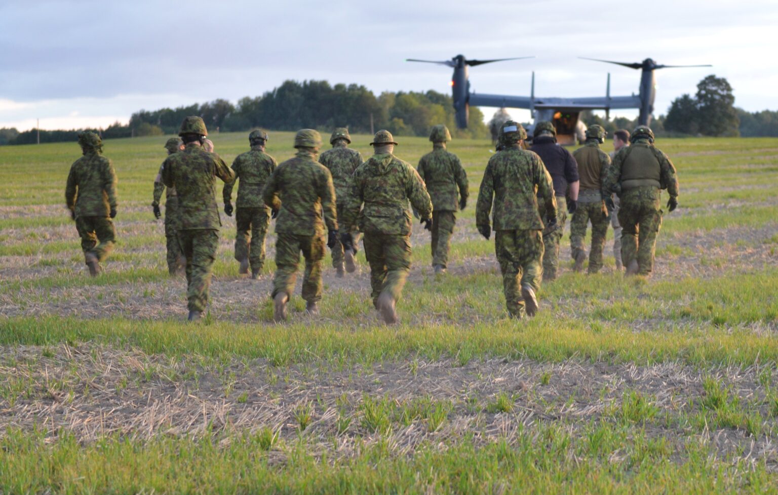 Stealth, speed, and adaptability: The role of special operations forces ...