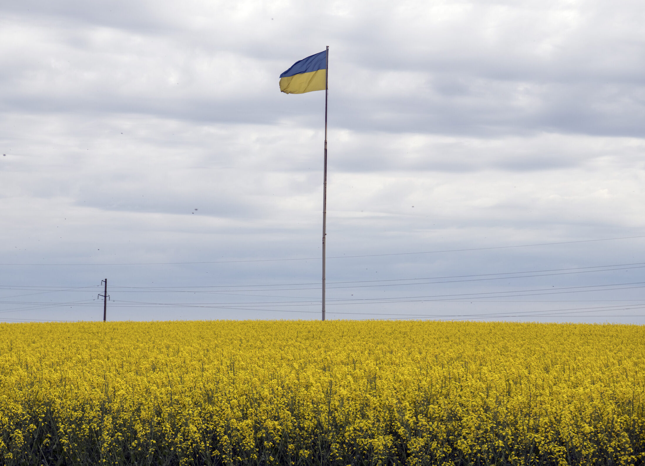 Ukraine paves way for green energy future amid Russia’s escalating ...