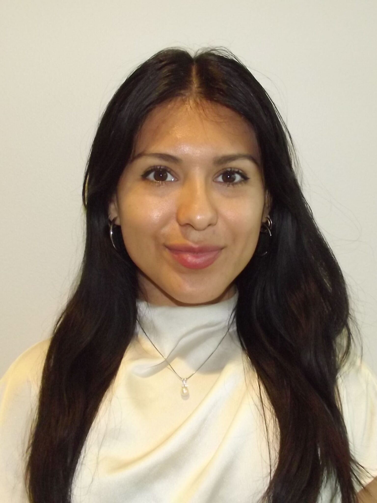 Resilience & Society - Atlantic Council