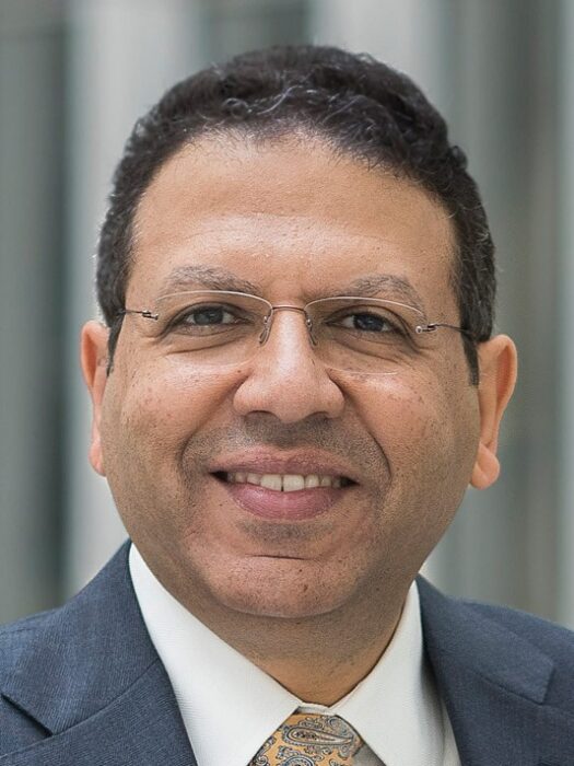 Khaled Sakr - Atlantic Council