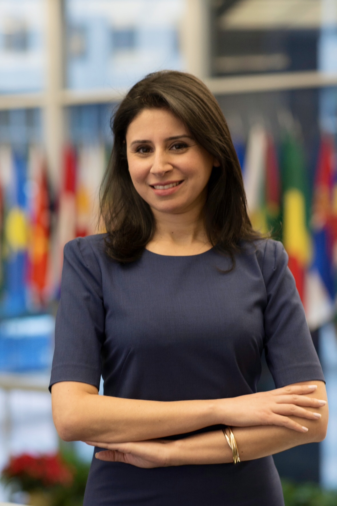 Negah Angha: It’s crucial to understand and listen to diverse MENA ...