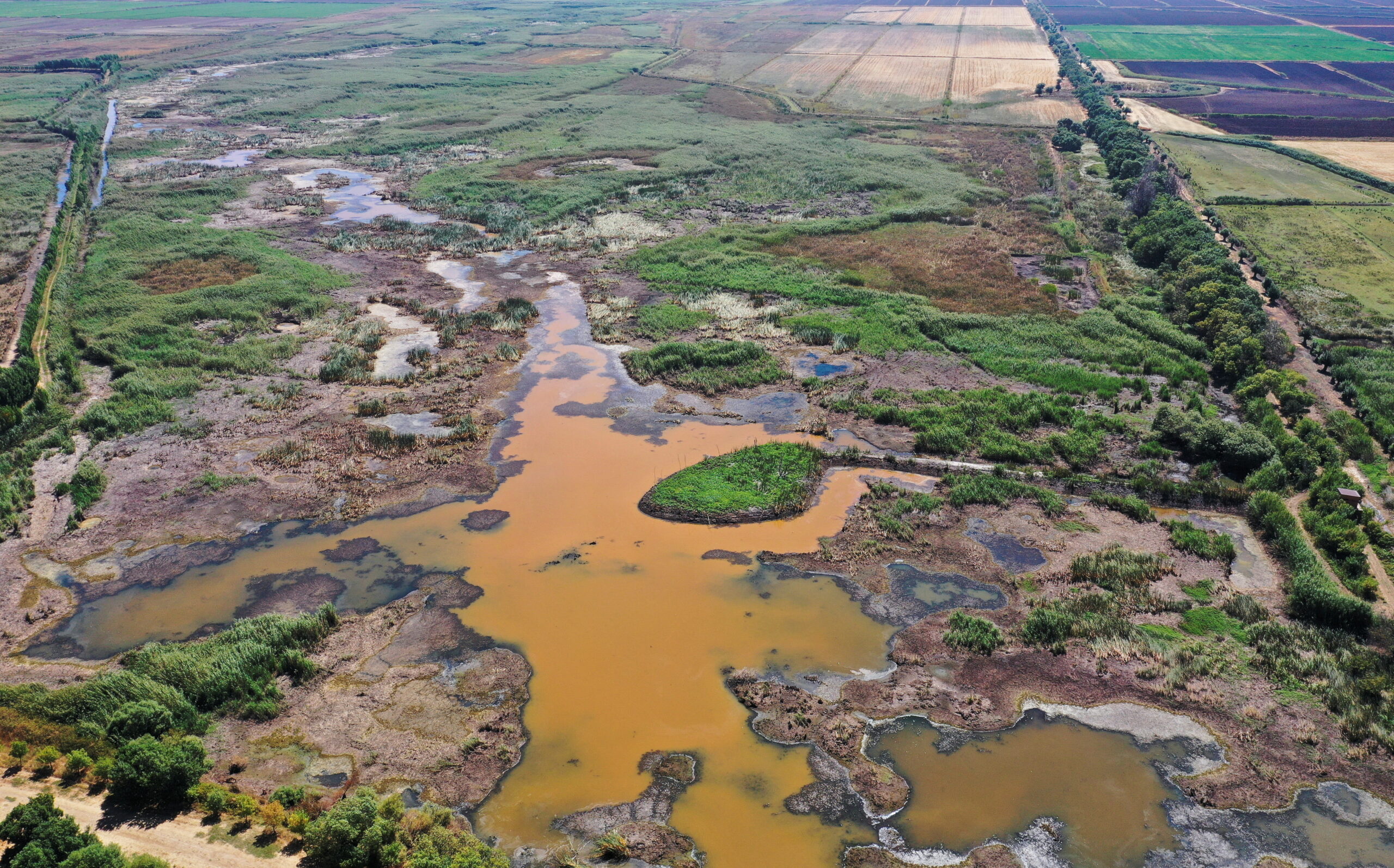 An energy and sustainability road map for the Middle East - Atlantic ...