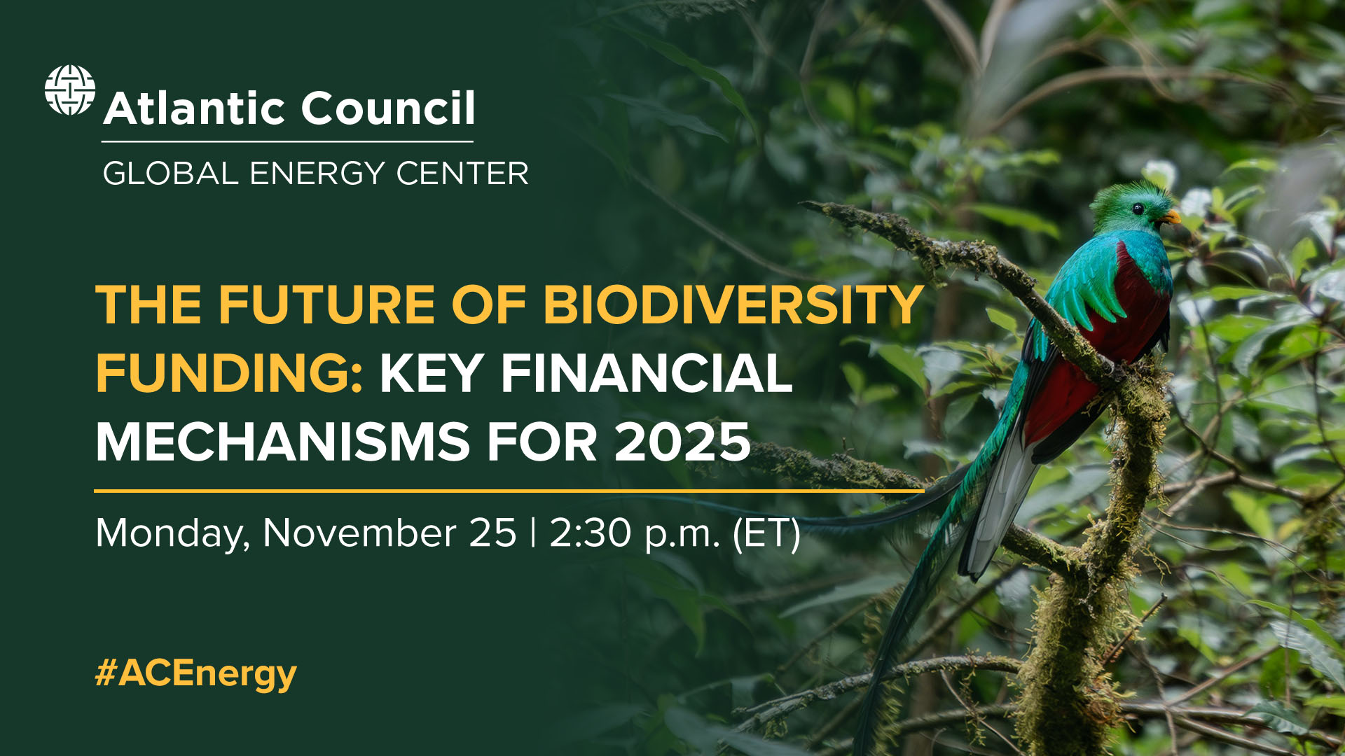 The future of biodiversity funding: Key financial mechanisms for 2025 ...