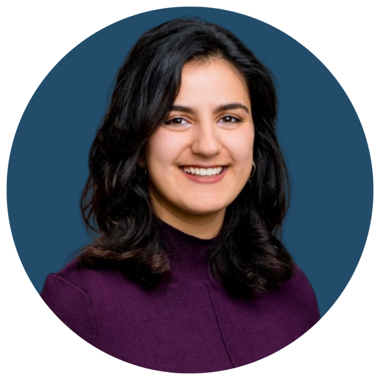 Six ‘snow leopards’ to watch for in 2025 - Atlantic Council