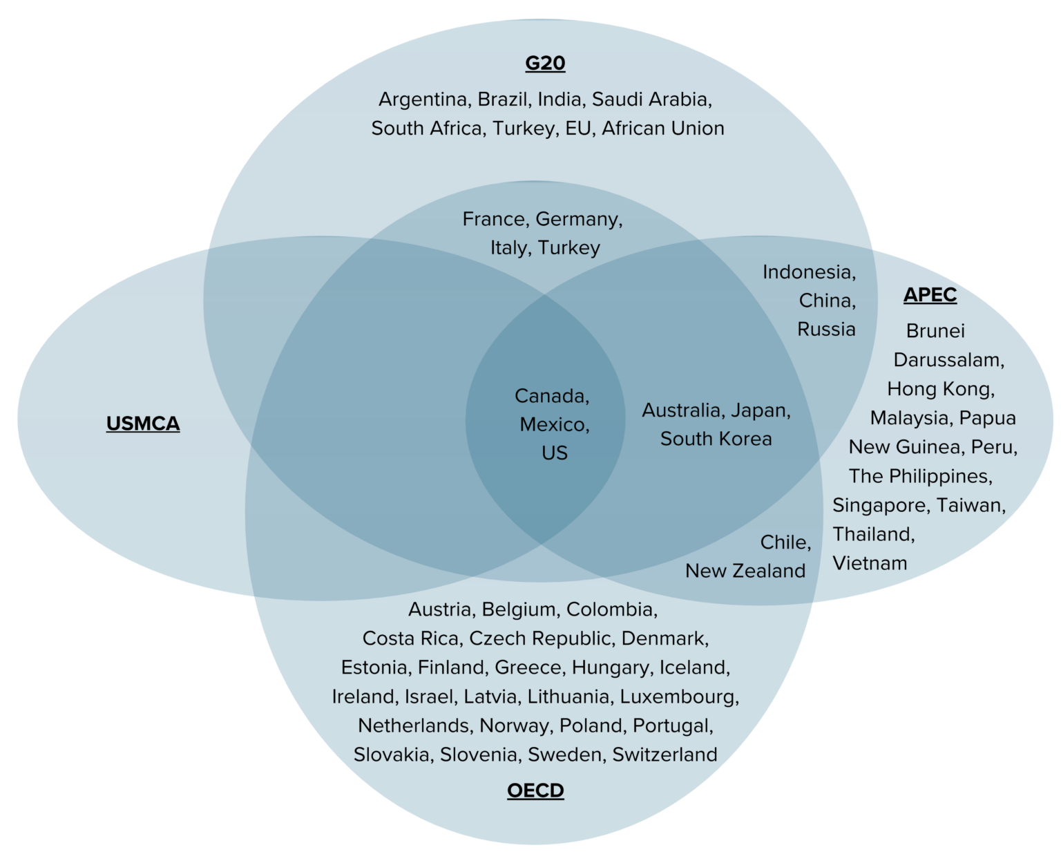 Canada needs an economic statecraft strategy to address its vulnerabilities - Atlantic Council